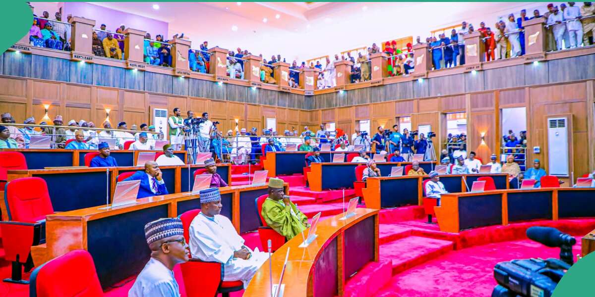 Breaking House Of Assembly Elects New Speaker Deputy Legit Ng