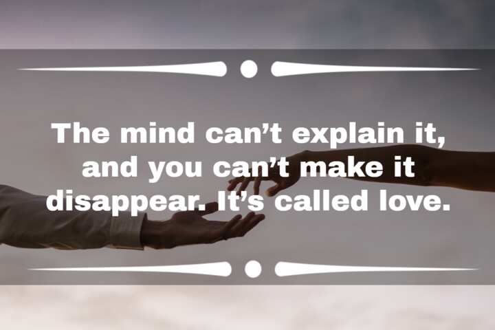 100 Why I Love You Quotes To Help You Express Your Feelings Legit Ng