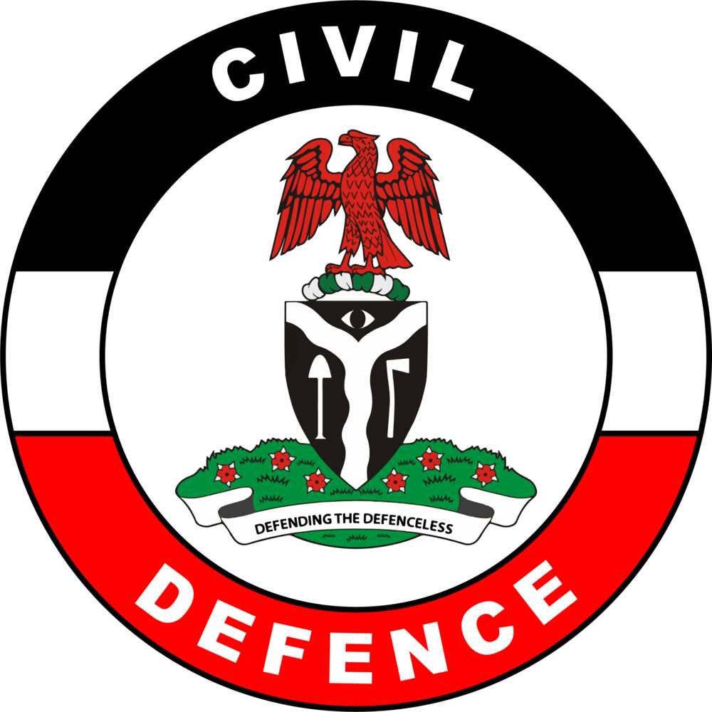 Nigeria Civil Defence Structure Corps Salary And Rank In 2022 Legit Ng