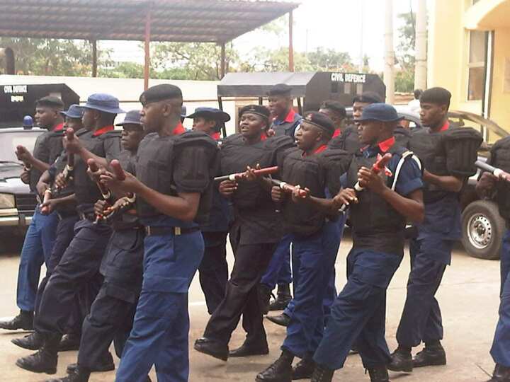 Nigeria Civil Defence Structure Corps Salary And Rank In 2024 Legit Ng