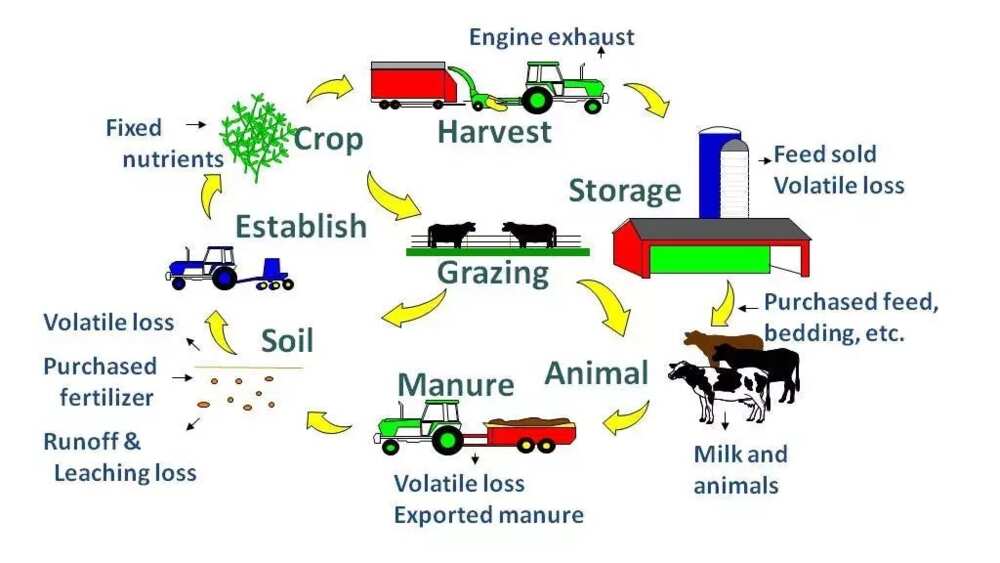 Advantages And Disadvantages Of Integrated Farming System Legit Ng